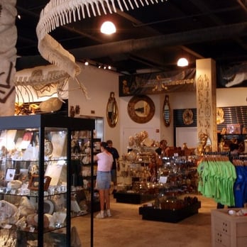 The Dinosaur Store - 71 Photos & 37 Reviews - Museums - 250 W Cocoa ...