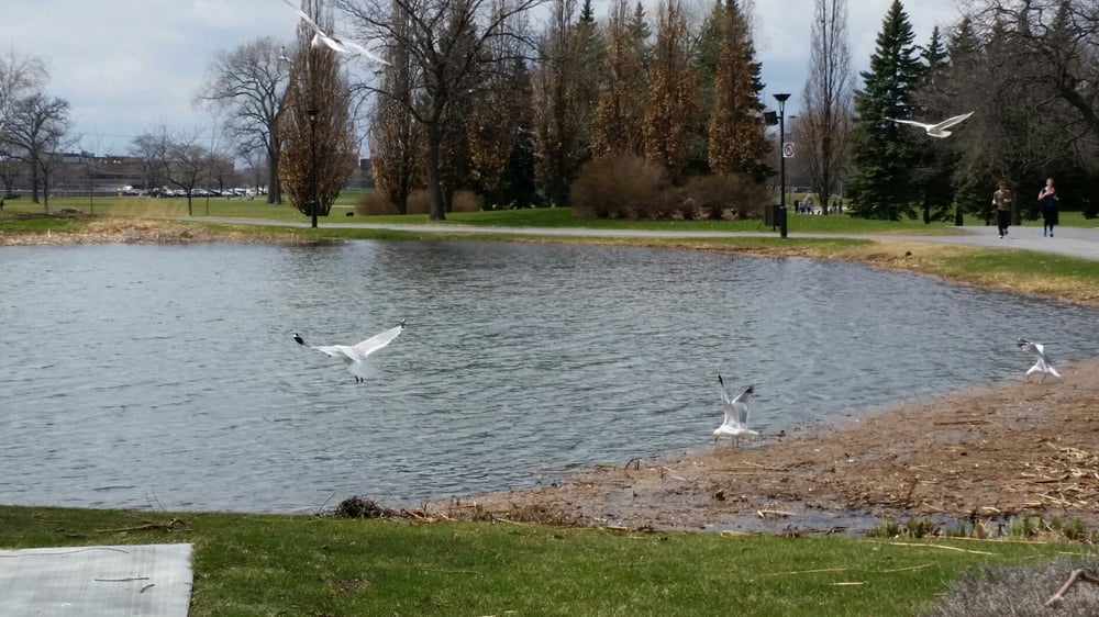 Parc Jarry - 24 Photos & 15 Reviews - Parks - Villeray-Saint-Michel ...