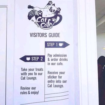 Cat Cafe on Whyte - 140 Photos & 32 Reviews - Coffee & Tea - 10111-82 ...