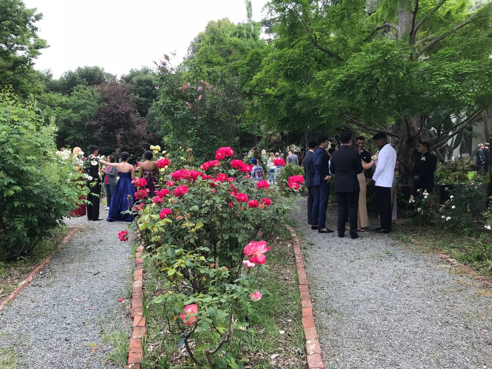 Niles Rose Garden - Parks - 36550 Niles Blvd, Fremont, CA - Yelp