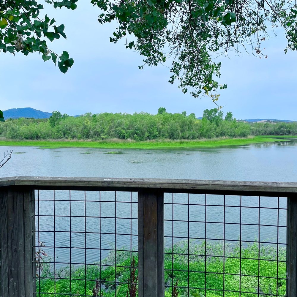 This List Is for the Birds! - Yelp