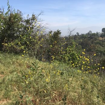 Fryman Canyon Park - 113 Photos & 50 Reviews - Hiking - 8401 Mulholland ...