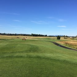 North Bellingham Golf Course - 27 Photos - Golf - 205 W Smith Rd ...