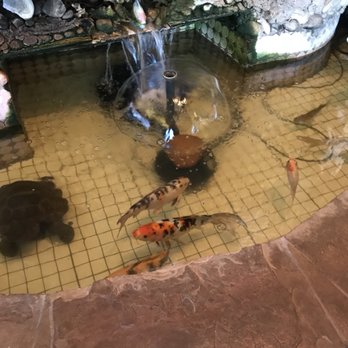 Good Friends Chinese Restaurant - 2019 All You Need to Know BEFORE You ...