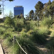 Johnny Carson Park - 81 Photos & 18 Reviews - Parks - 400 S Bob Hope Dr ...