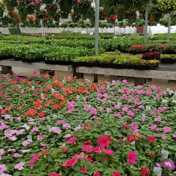 Flower Power Enfield Hours | Best Flower Site