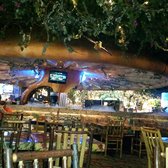 Rainforest Cafe - 166 Photos & 273 Reviews - American (Traditional ...