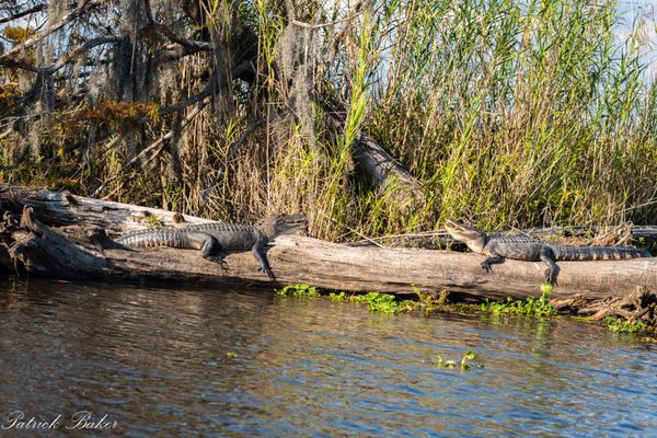 Pinehurst, TX Map & Directions - MapQuest