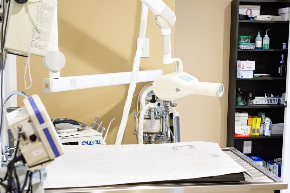 Village Animal Hospital - 58 Photos - Veterinarians - 1610 Harrodsburg ...