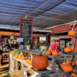 Windy Hill Orchard - 186 Photos & 73 Reviews - Cideries - 1860 Black ...