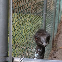 Popcorn Park Zoo - 72 Photos & 49 Reviews - Zoos - Humane Way, Forked ...