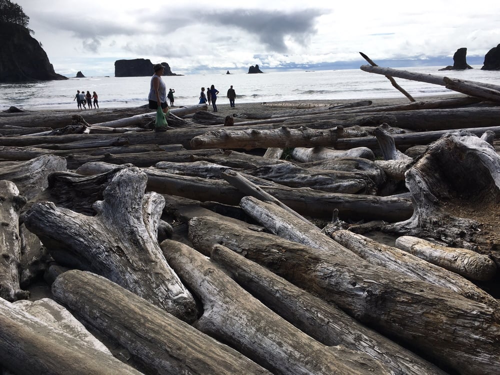 Second Beach - 106 Photos & 26 Reviews - Beaches - La Push, WA - Yelp