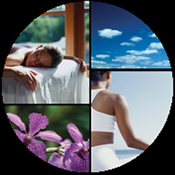 Angela da Silva HBA, RMT - Massage - 240 Roncesvalles Avenue, High Park ...