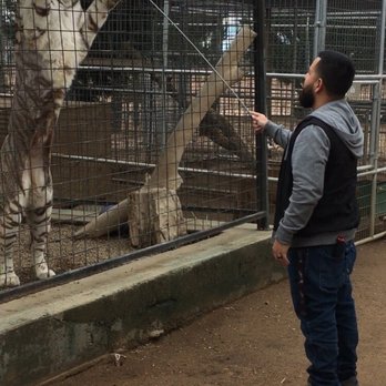Forever Wild Exotic Animal Sanctuary - 358 Photos & 170 Reviews - Zoos ...