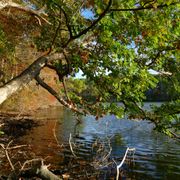 Cheesequake State Park - 214 Photos & 53 Reviews - Parks - 300 Gordon ...