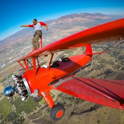 Mason Wing Walking Academy - 2019 All You Need to Know BEFORE You Go ...