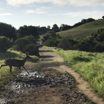 Edgewood Park & Natural Preserve - 443 Photos & 125 Reviews - Parks ...