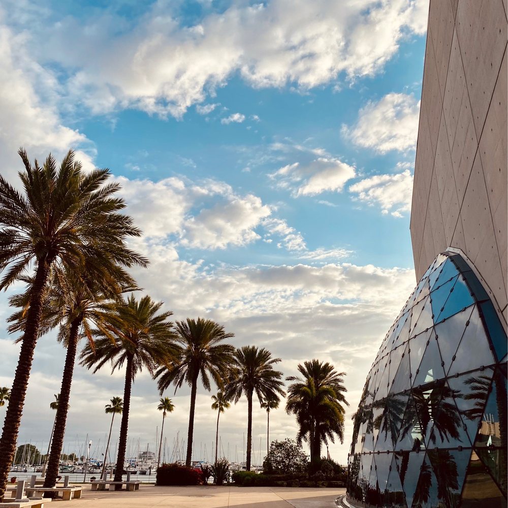 Museums - Curiosity Cabinets - Art Galleries - Yelp