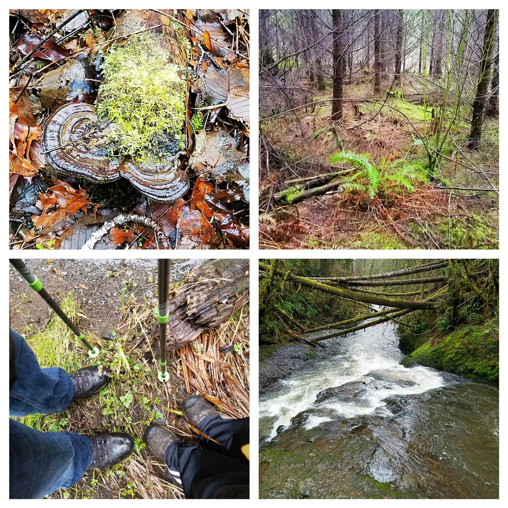 Porter Creek Campground - Hiking - Porter, WA - Yelp