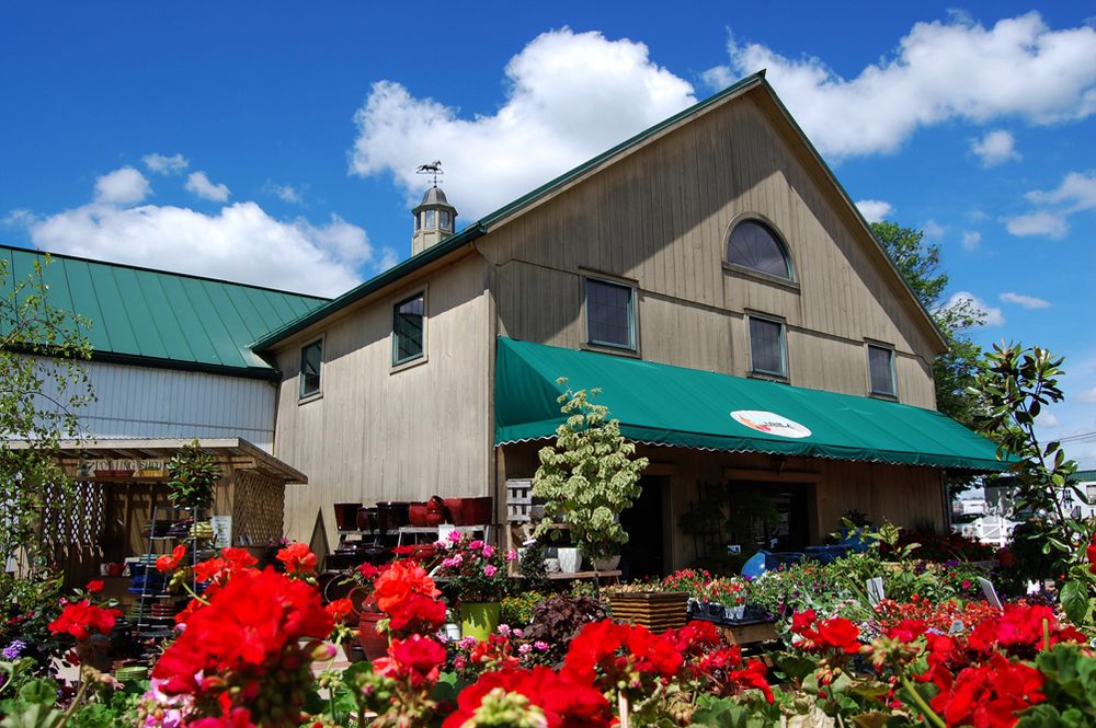 Shady Brook Farm - THE BEST 330 Photos & 162 Reviews - Festivals - 931 ...