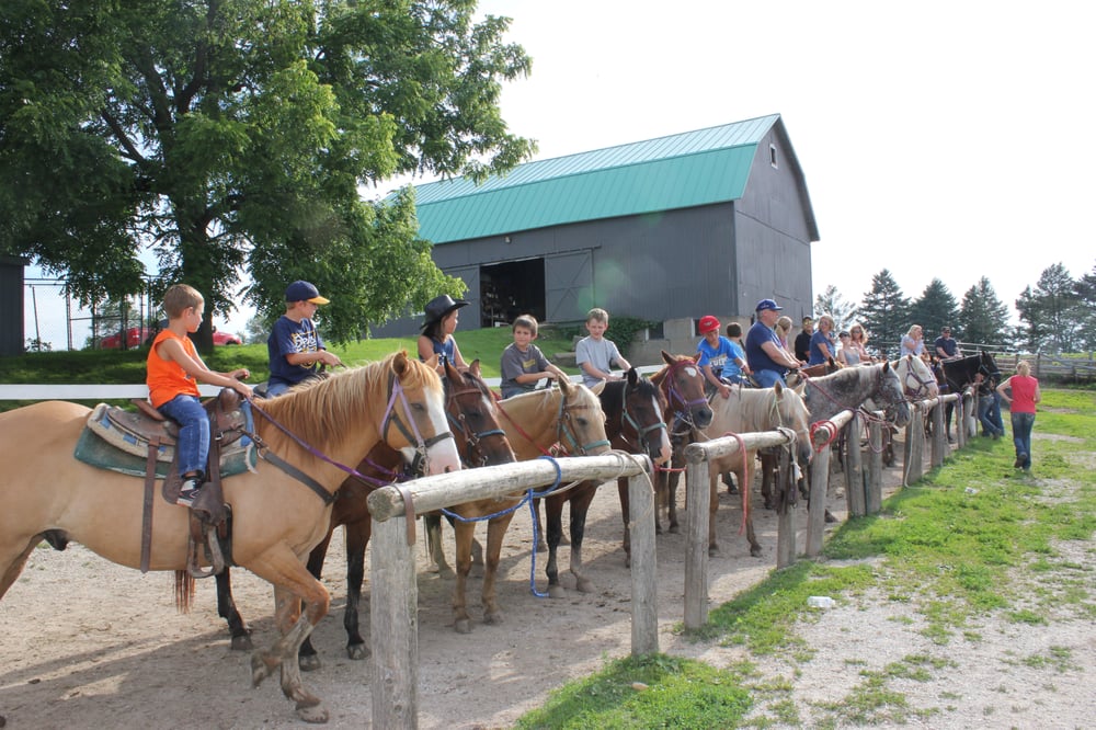 Dan Patch Stables - 13 Reviews - Horseback Riding - State Rd 50 & 12 ...