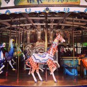 Golden Gate Park Carousel - 96 Photos & 97 Reviews - Carousels - 320 ...