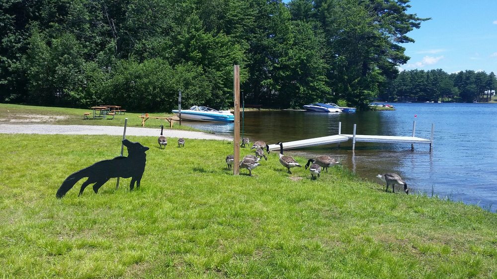 Milton Town Beach - Beaches - 852 White Mountain Highway, Milton, NH ...