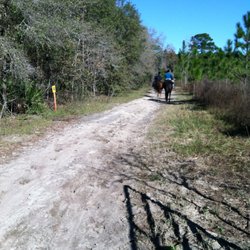 Blue Moon Ranch - Boat Charters - 4605 County Rd 134, Wildwood, FL ...