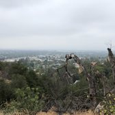 Fryman Canyon Park - 119 Photos & 58 Reviews - Hiking - 8401 Mulholland ...
