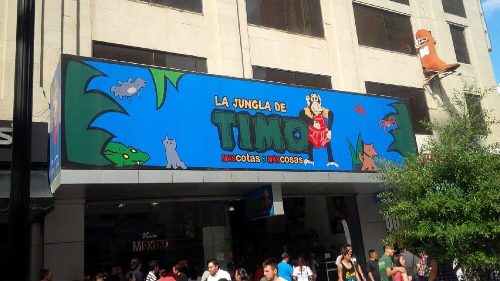 La Jungla De Timo - Pet Stores - Monterrey, Nuevo León, Mexico - Yelp