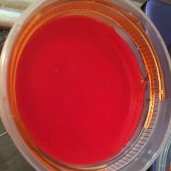 Panda Kitchen - Order Food Online - 10 Photos & 21 Reviews - Chinese ...