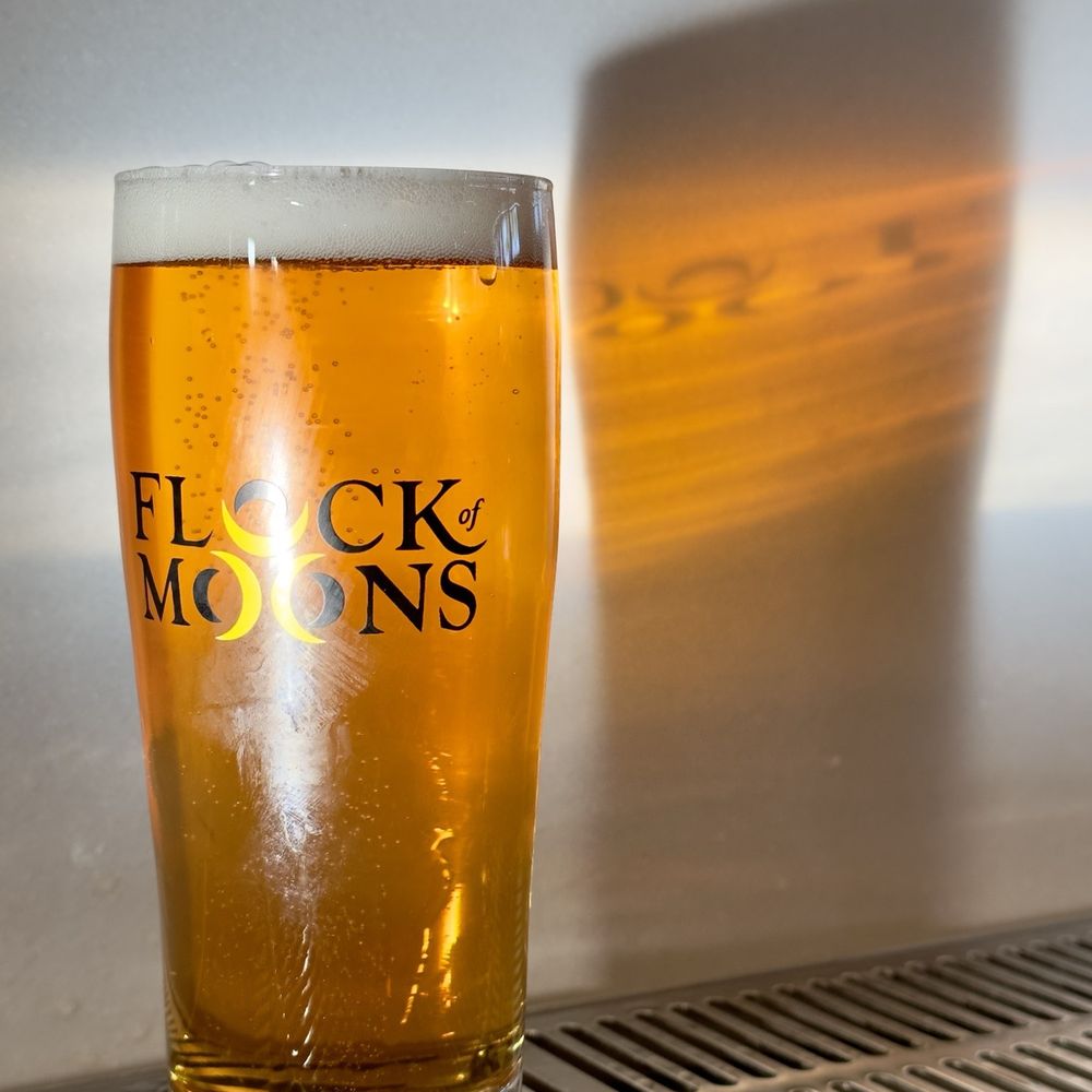 Bars - Last Updated 2023 - Yelp