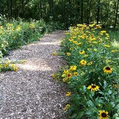 Big Trees Forest Preserve - 99 Photos & 29 Reviews - Parks - 7645 ...