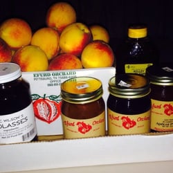 Efurd Orchards - 21 Photos & 16 Reviews - Farms - 4004 Hwy 271 S ...