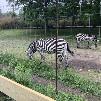 Franklin Park Zoo - 327 Photos & 210 Reviews - Zoos - 1 Franklin Park ...