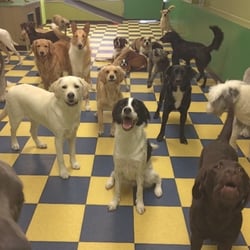 Dog School - 20 Reviews - Dog Walkers - 1737 South St, Rittenhouse ...