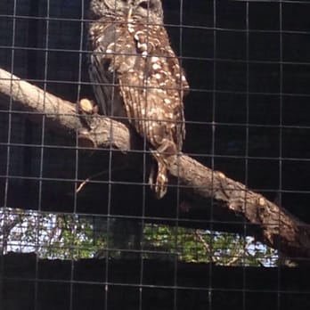 Tracy Aviary - 137 Photos & 72 Reviews - Zoos - 589 E 1300th S, Salt ...