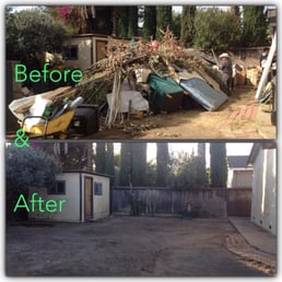 Before & After:Yard Clean Up - 26 Photos - Tree Services - Downtown ...