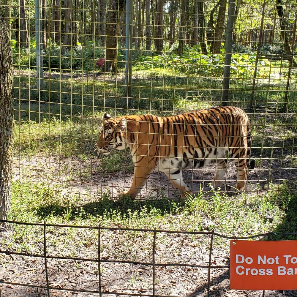 Tampa Staples - Yelp