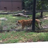 Connecticut’s Beardsley Zoo - 100 Photos & 64 Reviews - Zoos - 1875 ...