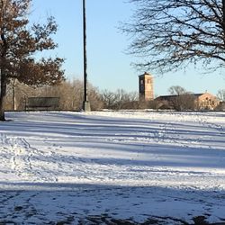 Washington Park - 225 Photos & 200 Reviews - Parks - S Downing St & E ...