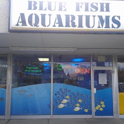 Blue Fish Aquariums - Local Fish Stores - 5379 Mayfield Rd, Cleveland ...