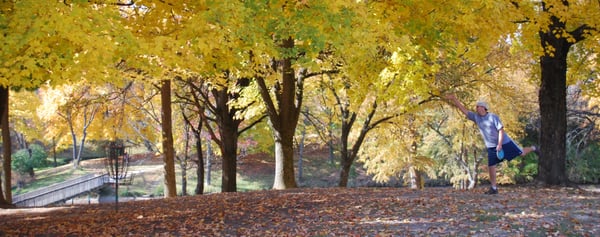 Collinsville, IL Map & Directions - MapQuest