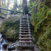 Matt Davis-Steep Ravine Loop - 216 Photos & 83 Reviews - Hiking ...
