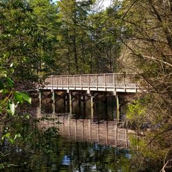 Woodford Cedar Run Wildlife Refuge - 10 Photos - Animal Shelters - 4 ...