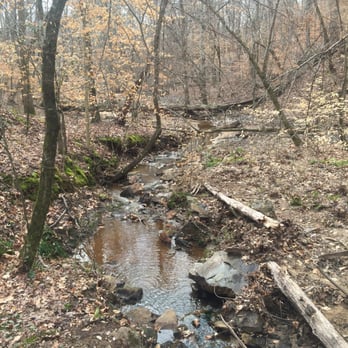 Charlie Elliott Wildlife Center - 95 Photos - Fishing - 543 Elliott Trl ...