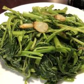 GuangDong Taste - 507 Photos & 128 Reviews - Cantonese - 3497 Holland ...