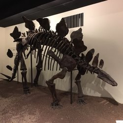 Morrill Hall - 2019 All You Need to Know BEFORE You Go (with Photos ...