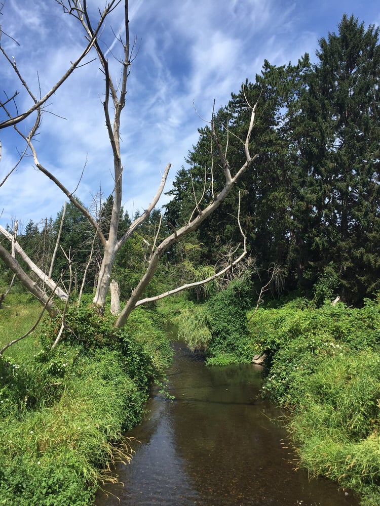 North Creek Trail - Hiking - 19909 120th Ave NE, Bothell, WA - Yelp