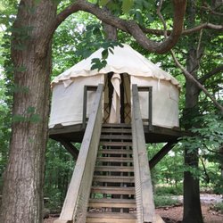 Treehouse World - 37 Photos & 23 Reviews - Kids Activities - 1442 ...